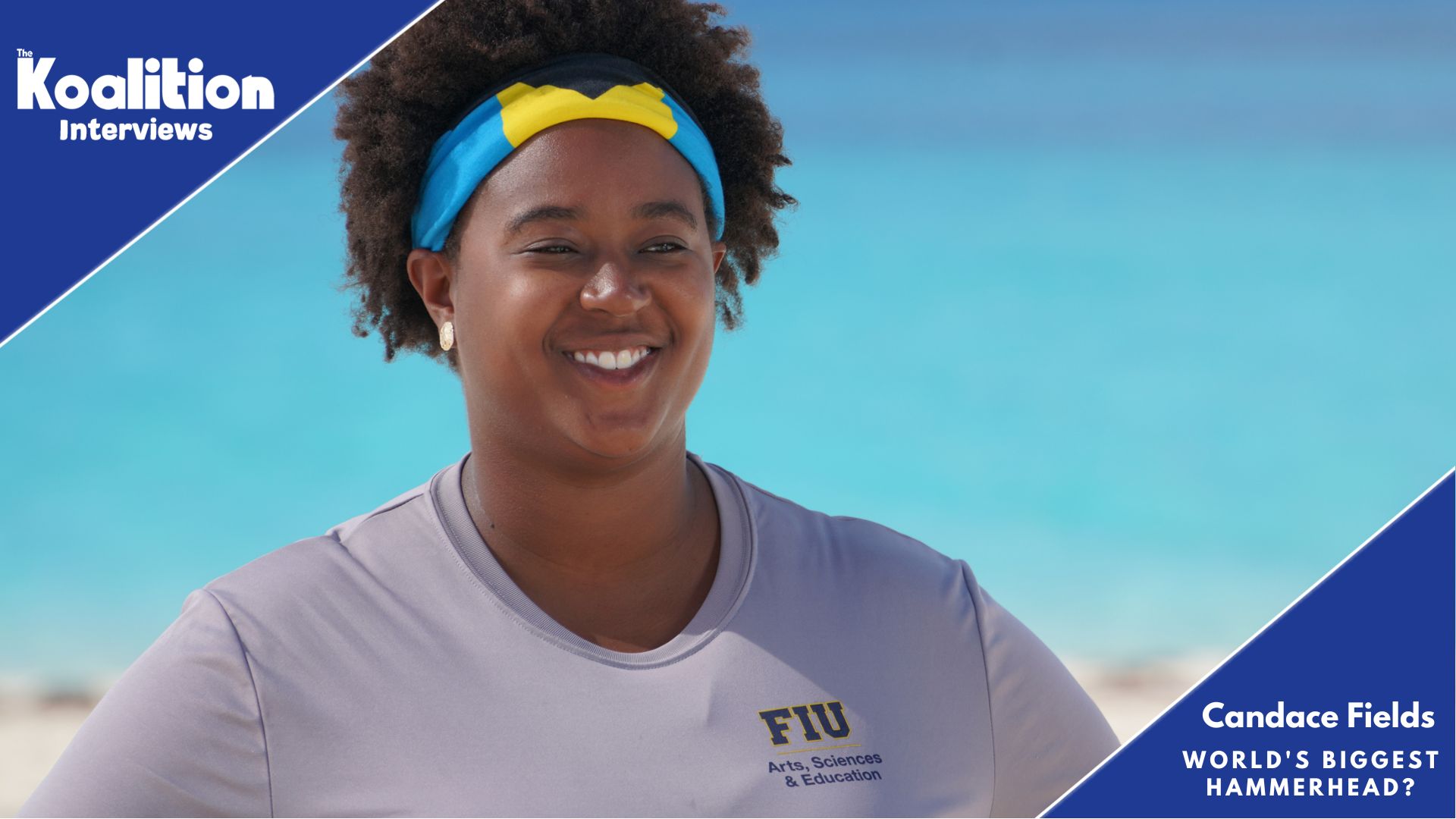 World's Biggest Hammerhead?'s Candace Fields Has a Passion for Shark ...